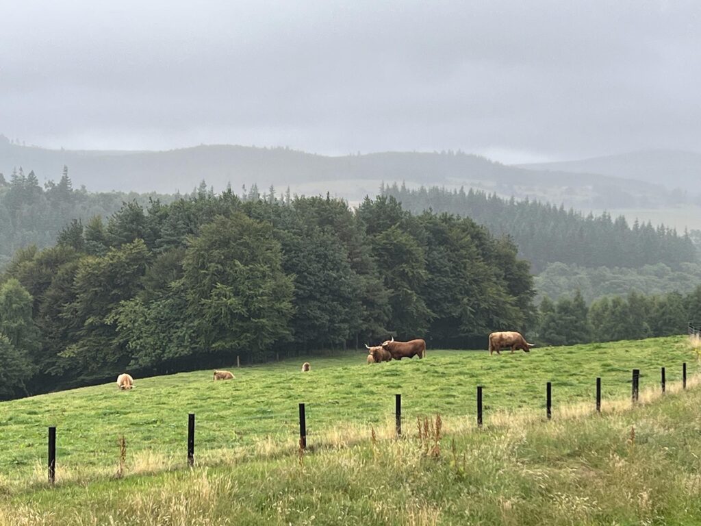 Laser Utility Survey – Macallan Distillery - Adaptive Surveys
